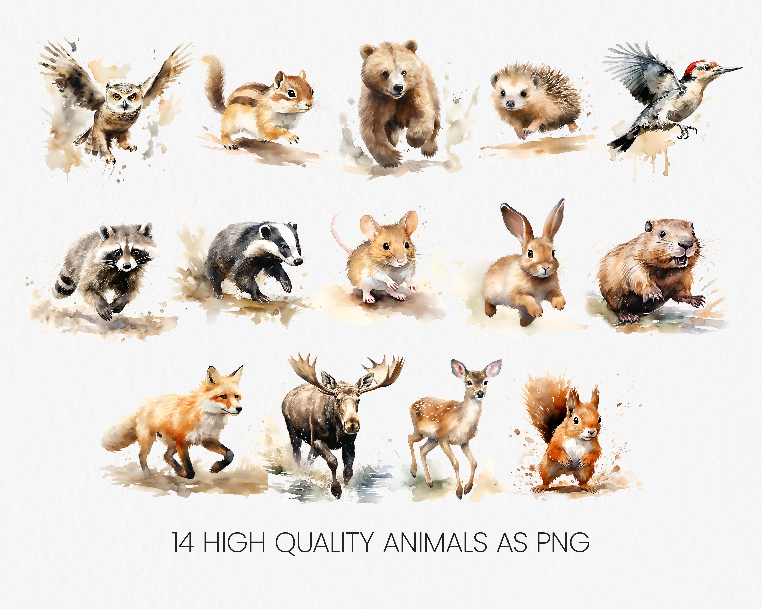 Woodland Animals Clipart Bundle, Animal Clipart for Commercial Use ...