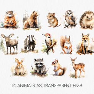 Woodland Animals Clipart Bundle, Animal Clipart for Commercial Use ...
