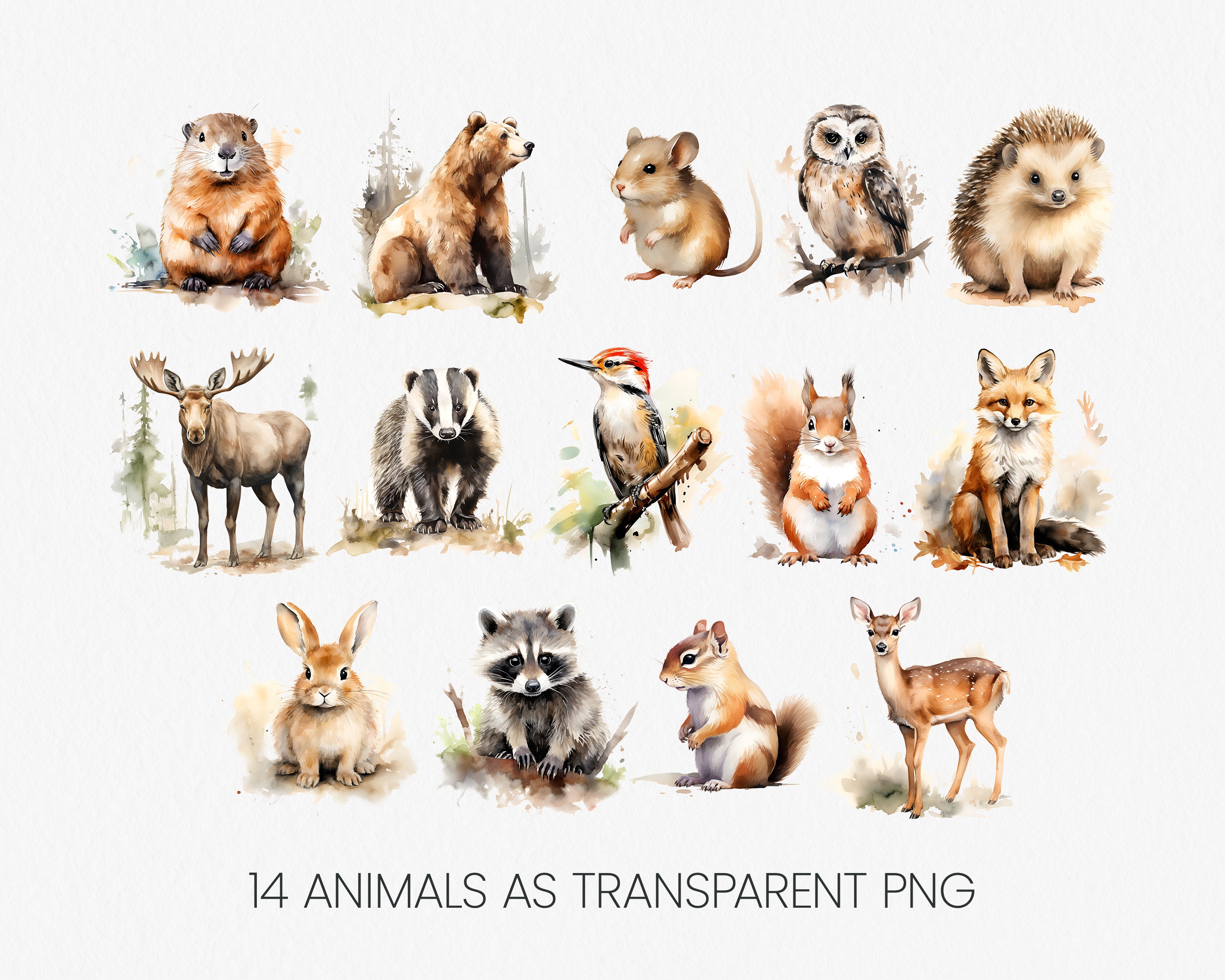 Woodland Animals Clipart Bundle, Animal Clipart for Commercial Use ...