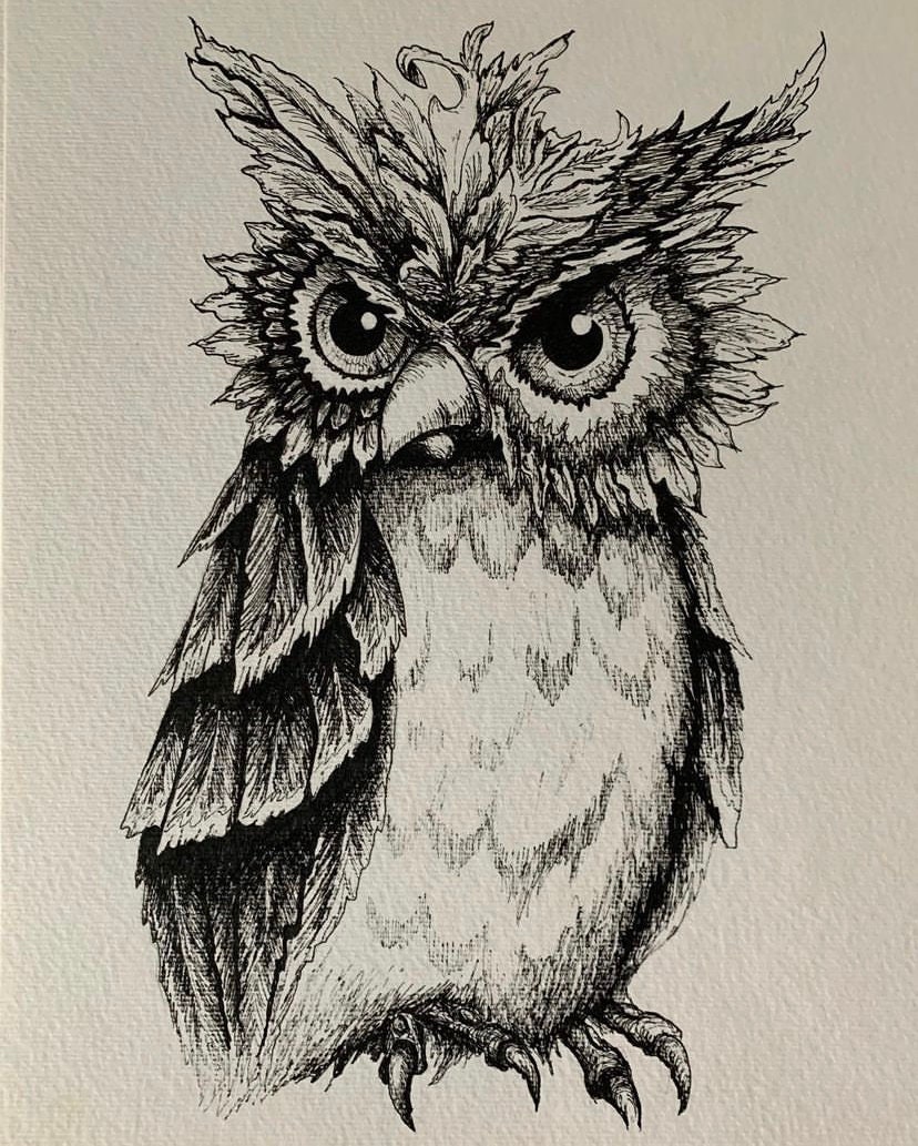 Owl Ink Drawing - Etsy