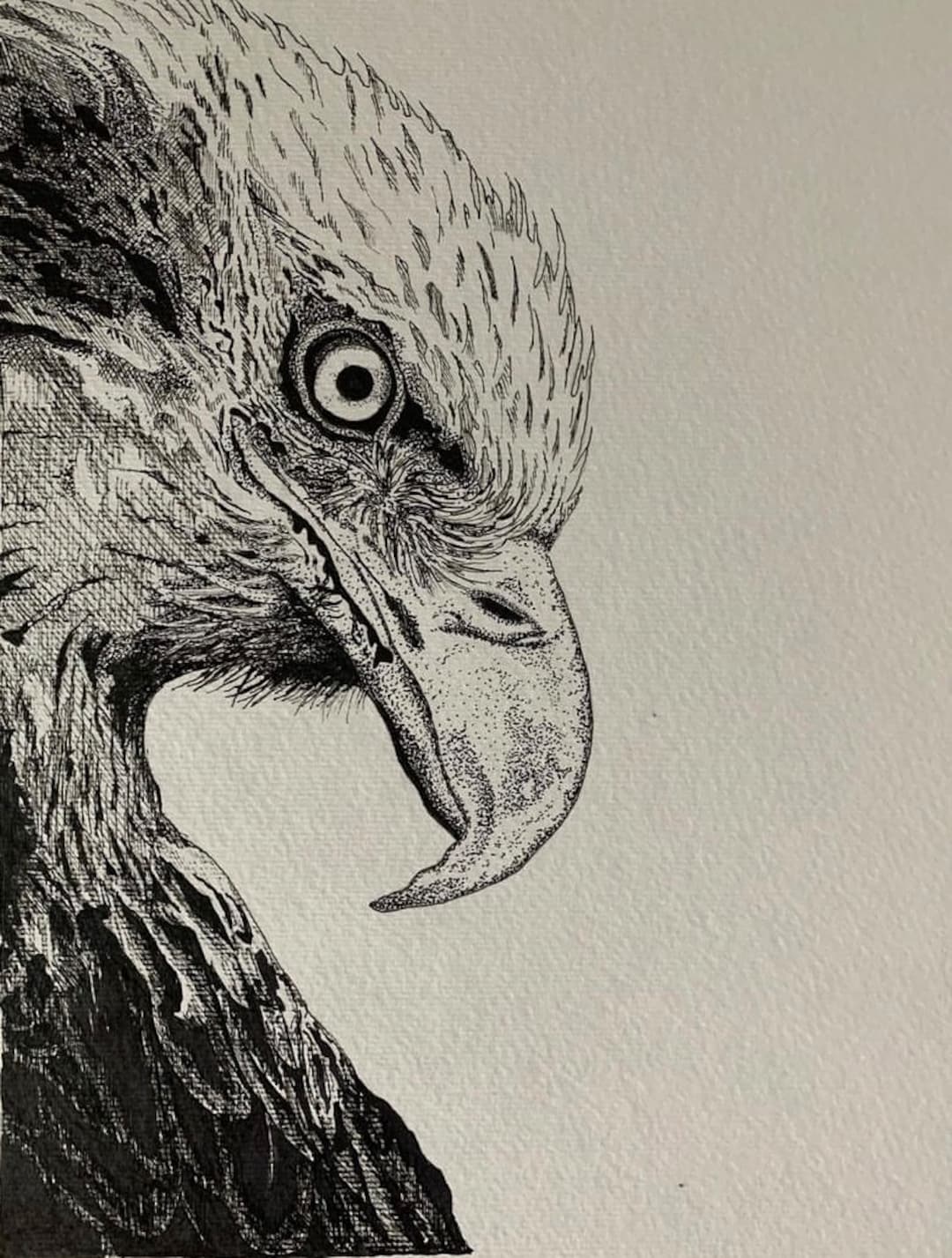 Bald Eagle Ink Drawing - Original Drawing, Black and White, Not a Print ...