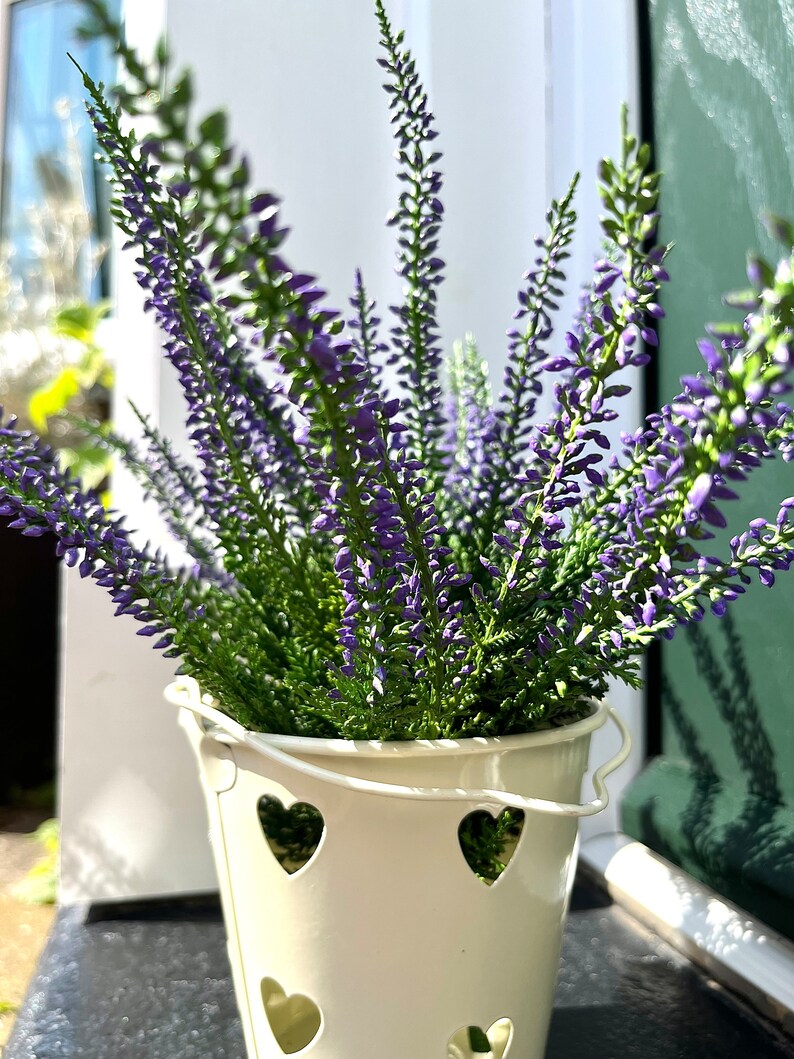 Artificial Heather (erica Calluna) Purple and Pink Outdoor Plant, 27cm ...