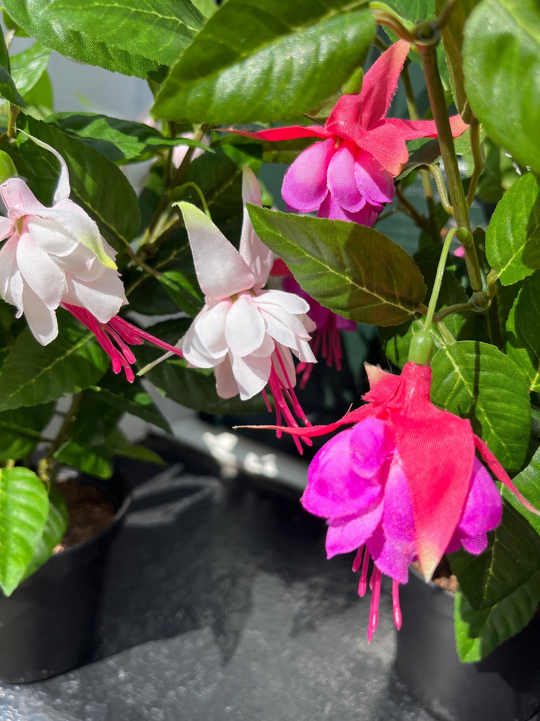 Artificial Fuchsia Bush, White/pink and Pink/purple Flowers, 30cm in ...