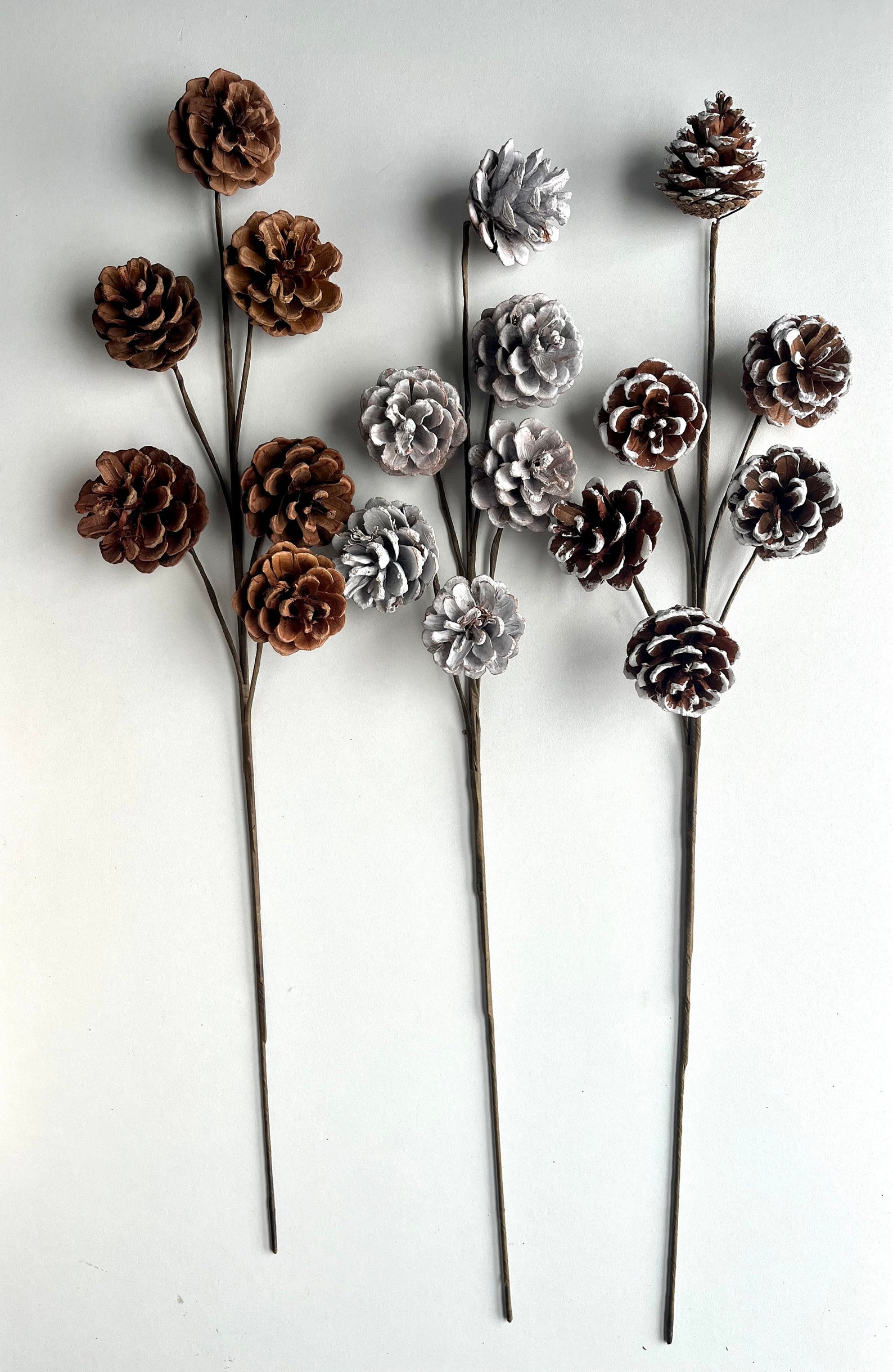 6 Pine Cones on a Stick, Natural, Whitewash and Snow Tips - Etsy UK