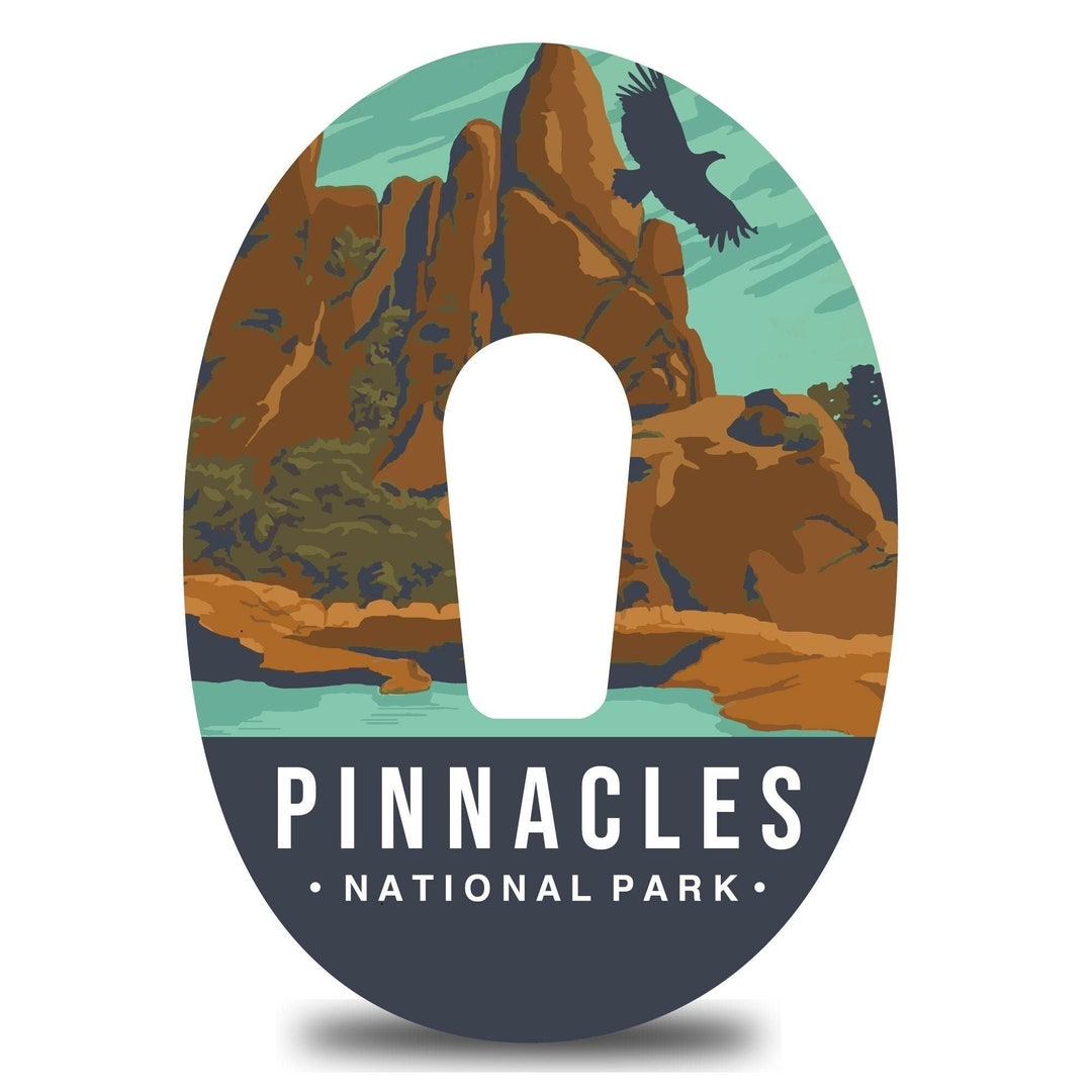Pinnacles National Park Dexcom G6 Patch CGM Tape - Etsy