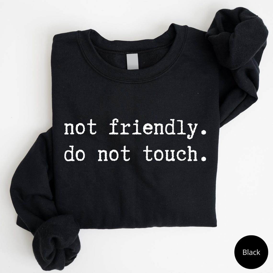 Not Friendly Sweatshirt, Funny Humor Hoodie, Gift for Friend, Adult ...