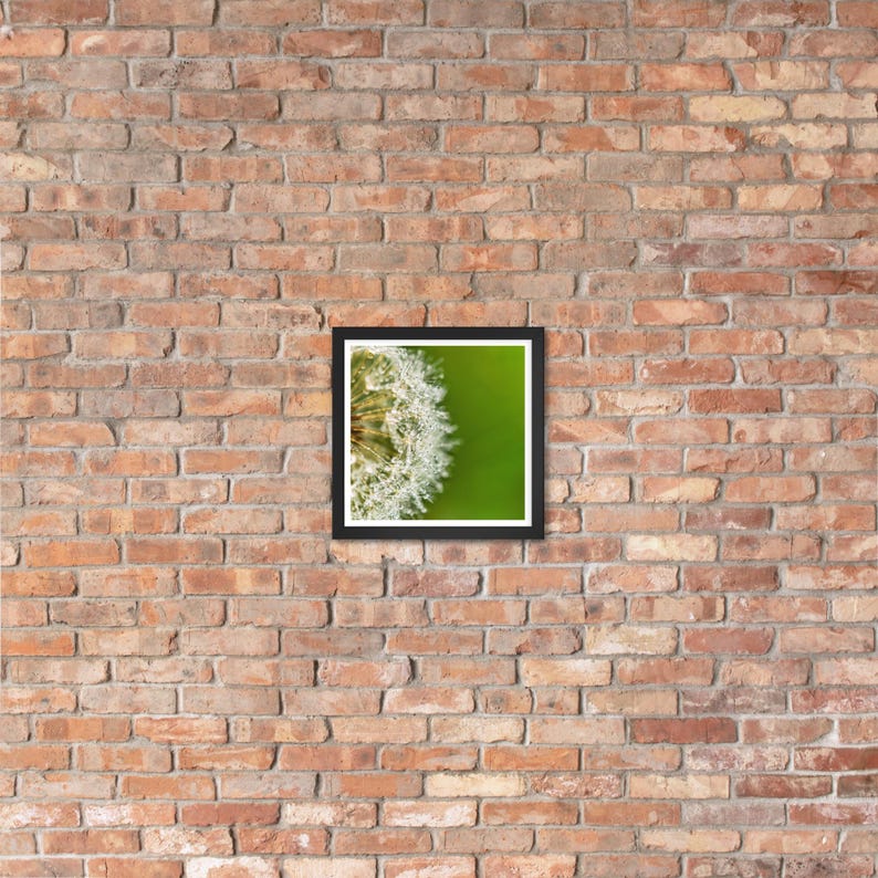 Dandelion Poster Dandelion Wall Art Dandelion Print Dandelion Decor ...