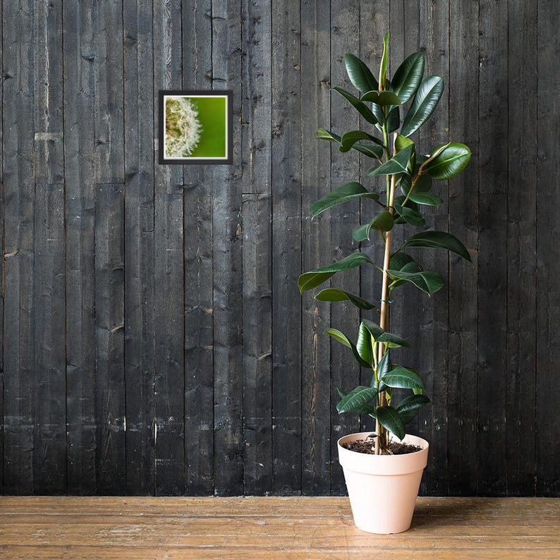 Dandelion Poster Dandelion Wall Art Dandelion Print Dandelion Decor ...