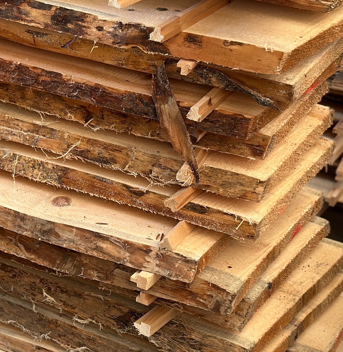 Brett Zirbe Arbe massiv, nach Wunsch sägerauh, gehobelt, zugeschnitten ...