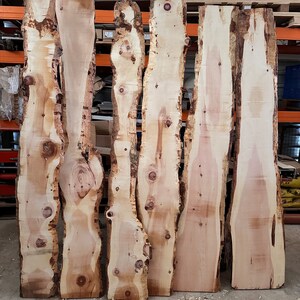 Brett Zirbe Arbe massiv, nach Wunsch sägerauh, gehobelt, zugeschnitten ...