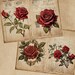Red Roses Junk Journal Pages, Junk Journal Kit, Printable Journal ...