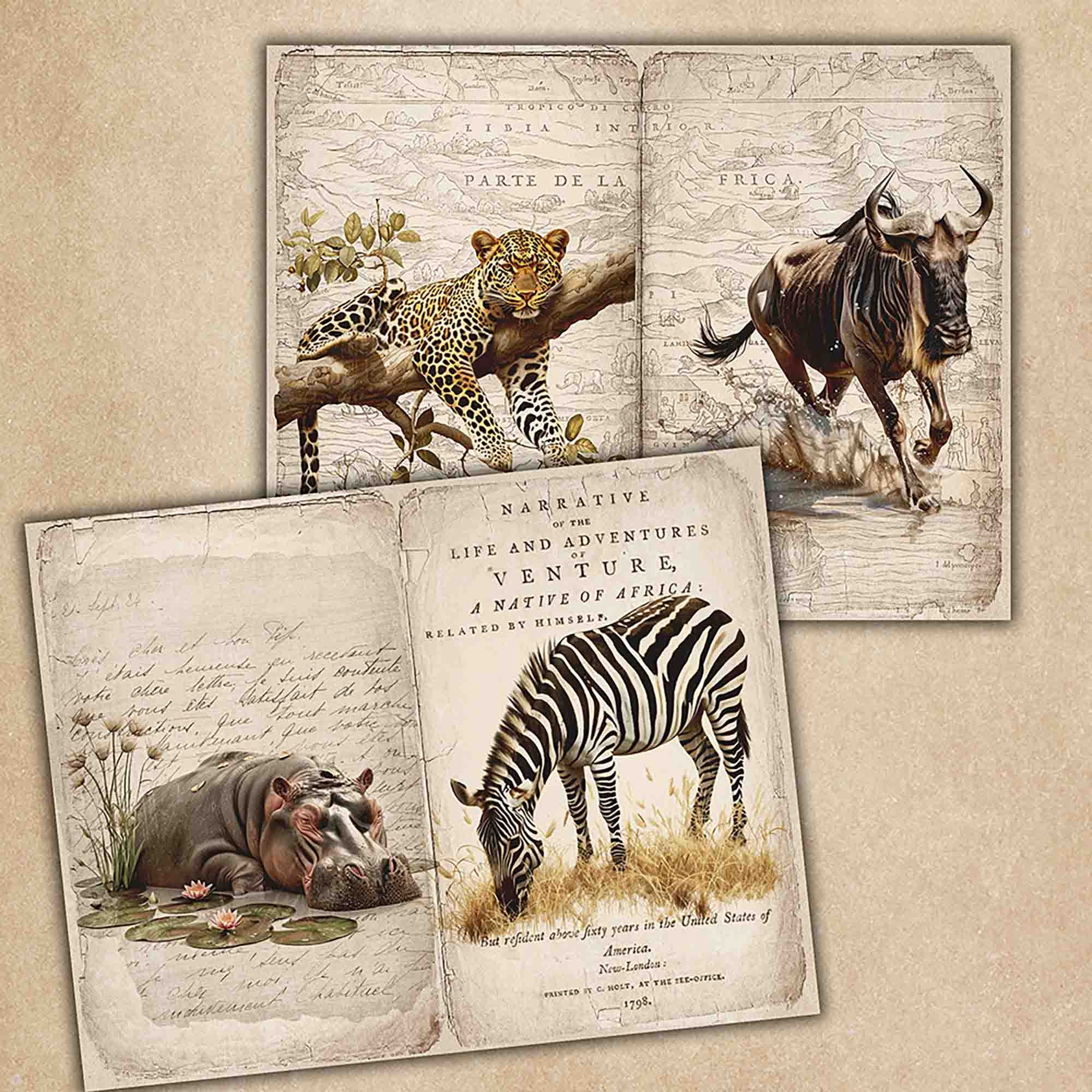 Safari Adventure Junk Journal Pages, African Safari Animals, Printable ...