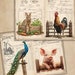 Farmyard Animals Junk Journal Pages, Cottagecore, Printable Journal Kit ...