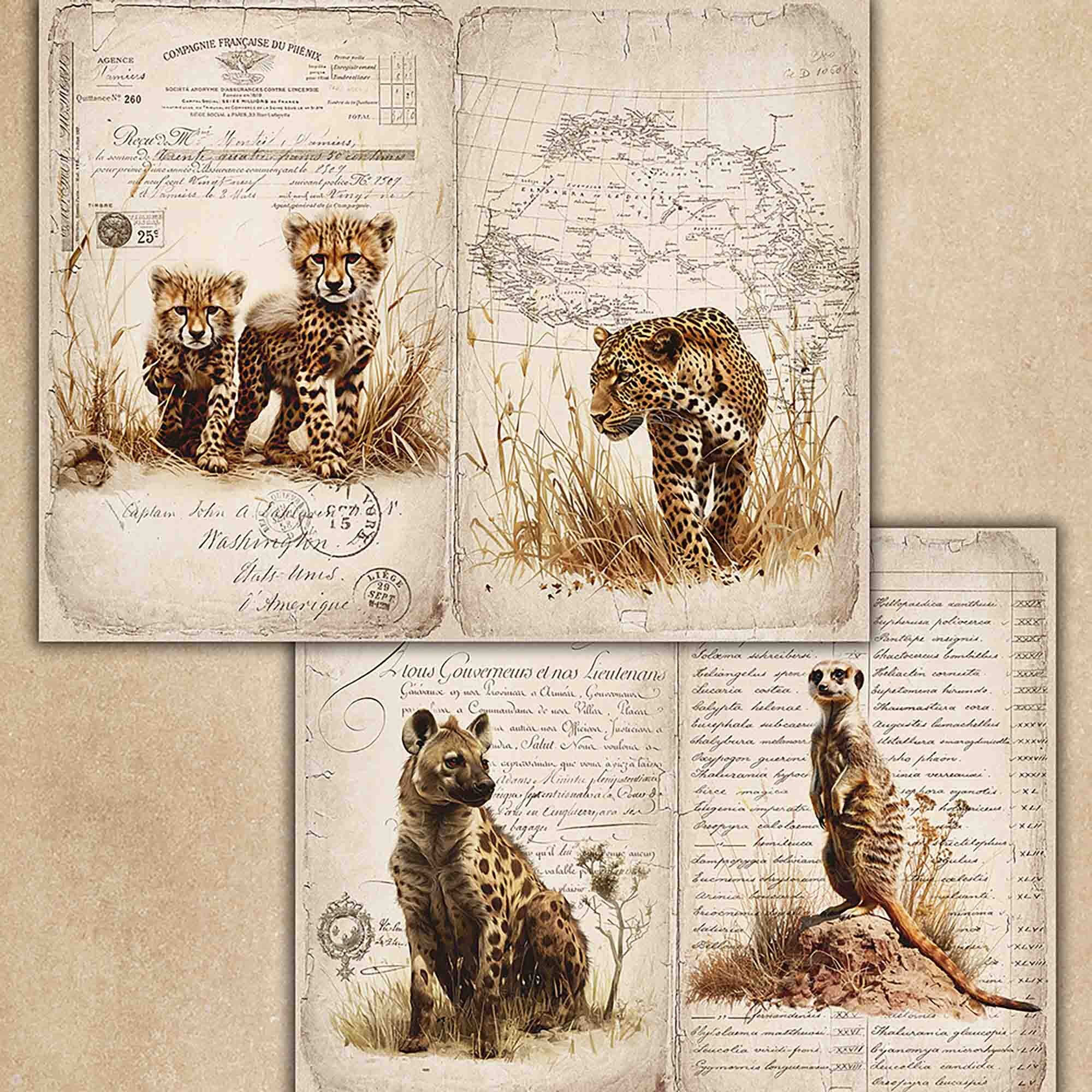 Safari Adventure Junk Journal Pages, African Safari Animals, Printable ...