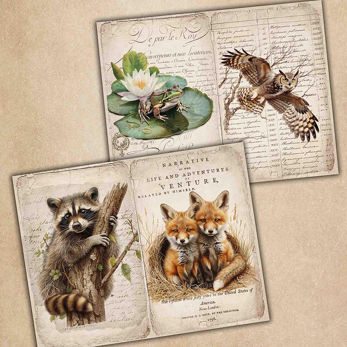 Forest Animals Junk Journal Pages, Woodland, Naturalist, Printable ...
