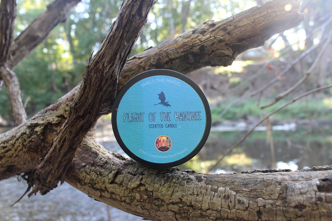 Flight of the Banshee Inspired Scented Candle Disney World Scents ...