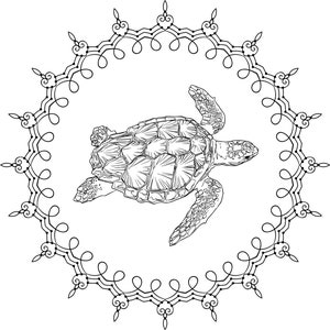 Sea Turtles Coloring Book Digital Download 25 Pages - Etsy