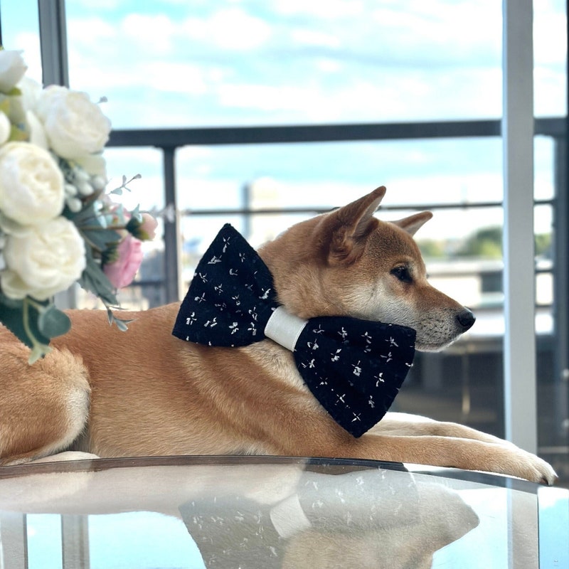 Large Dog Bow - Etsy