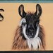 Donkey Stall Signs Lama Stall Plaque With Portrait Painting - Etsy