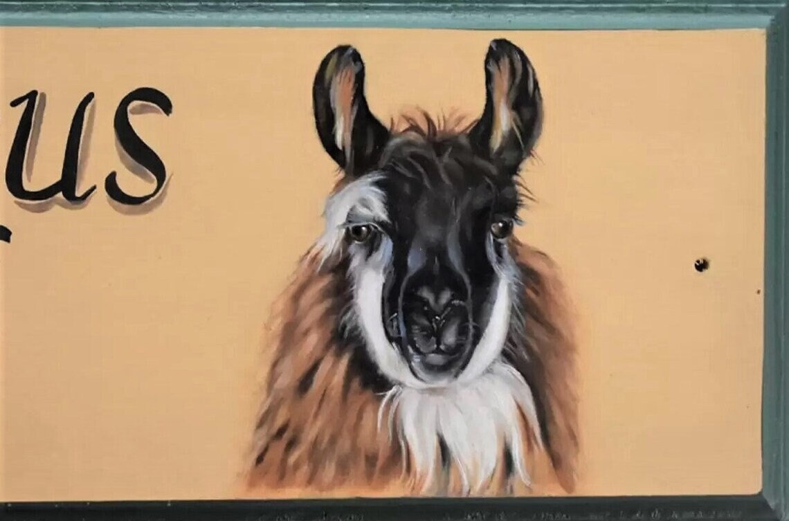 Donkey Stall Signs Lama Stall Plaque With Portrait Painting - Etsy