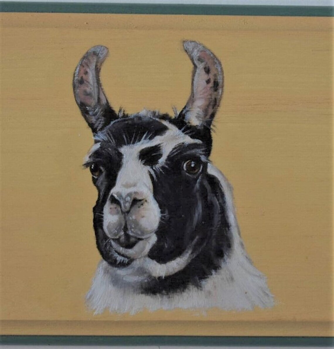 Donkey Stall Signs Lama Stall Plaque With Portrait Painting - Etsy