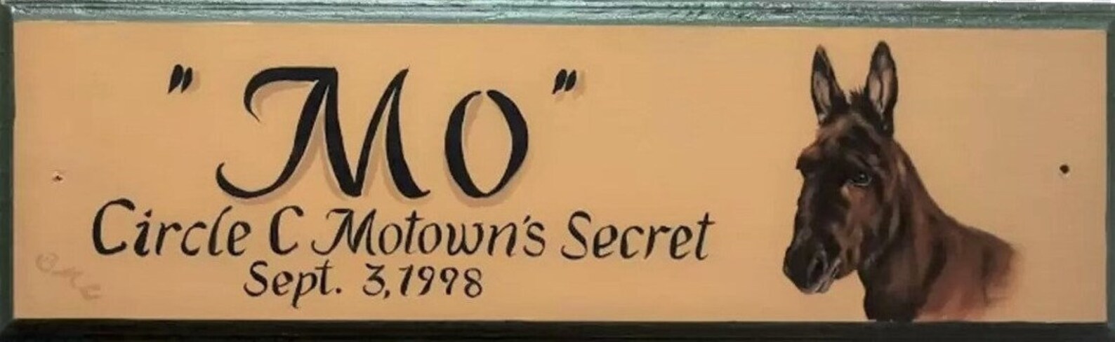 Donkey Stall Signs Lama Stall Plaque With Portrait Painting - Etsy