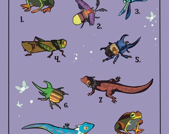 Hyrule Compendium Breath of the Wild Tears of the Kingdom Botanical ...