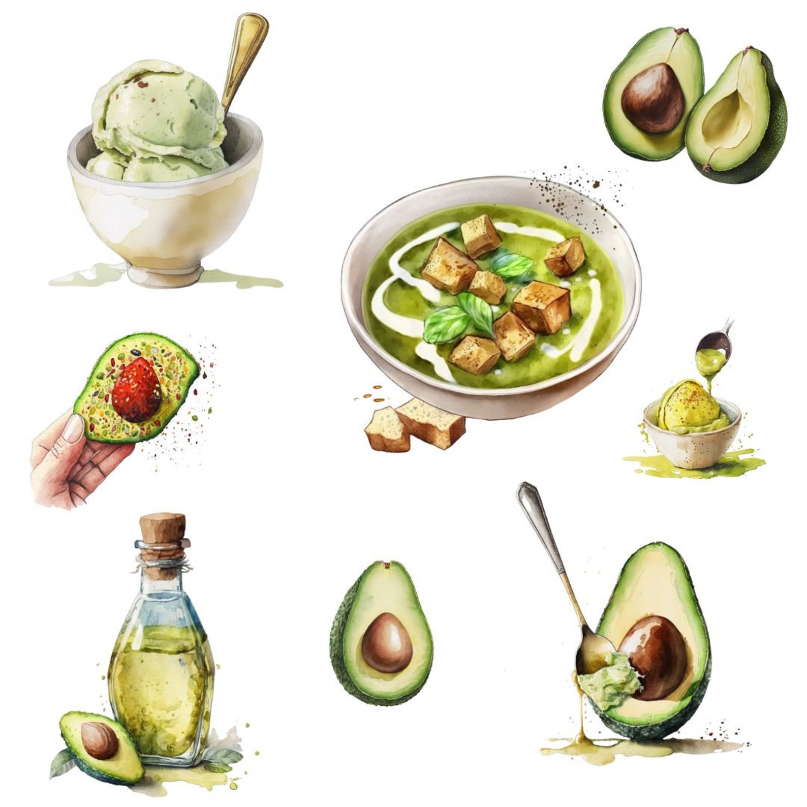 Avocado Watercolor Clipart Bundle Png-format Avocado Clipart Bundle ...