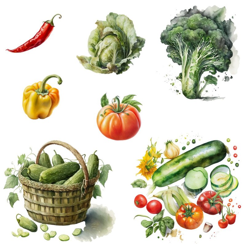 Watercolor Vegetable Clipart Bundle Png-format Vegetable Clipart ...