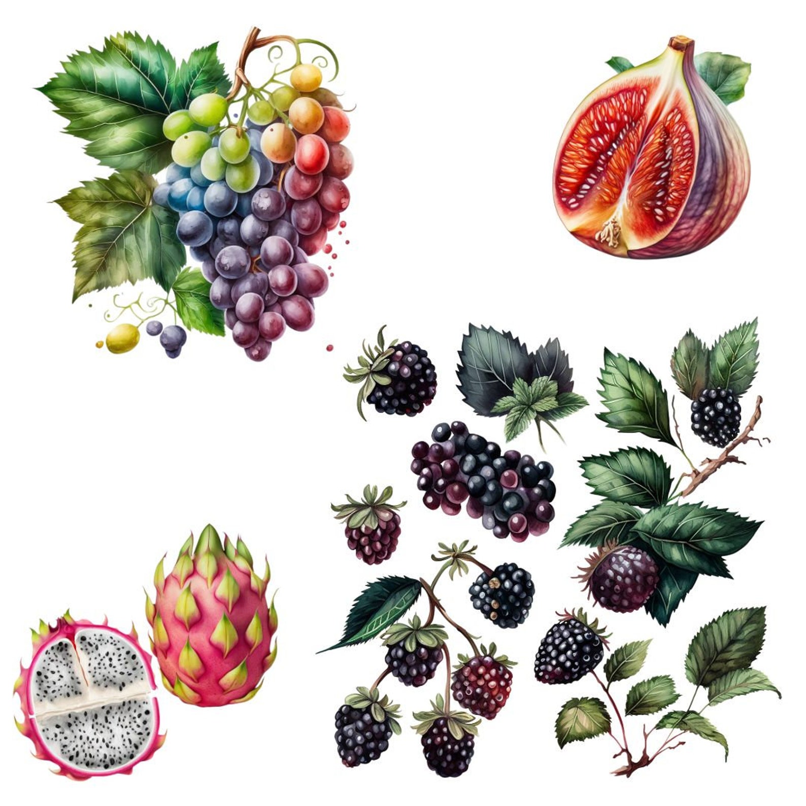 Watercolor Fruit Clipart Bundle Png-format Watercolor Fruits Clipart ...