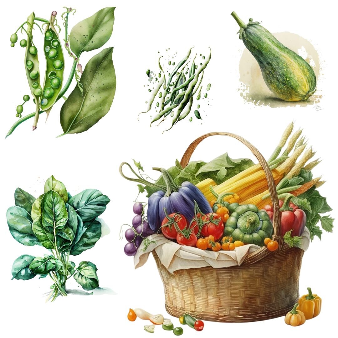 Watercolor Vegetable Clipart Bundle Png-format Vegetable Clipart ...