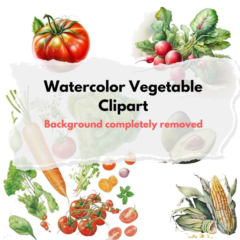 Watercolor Vegetable Clipart Bundle Png-format Vegetable Clipart ...