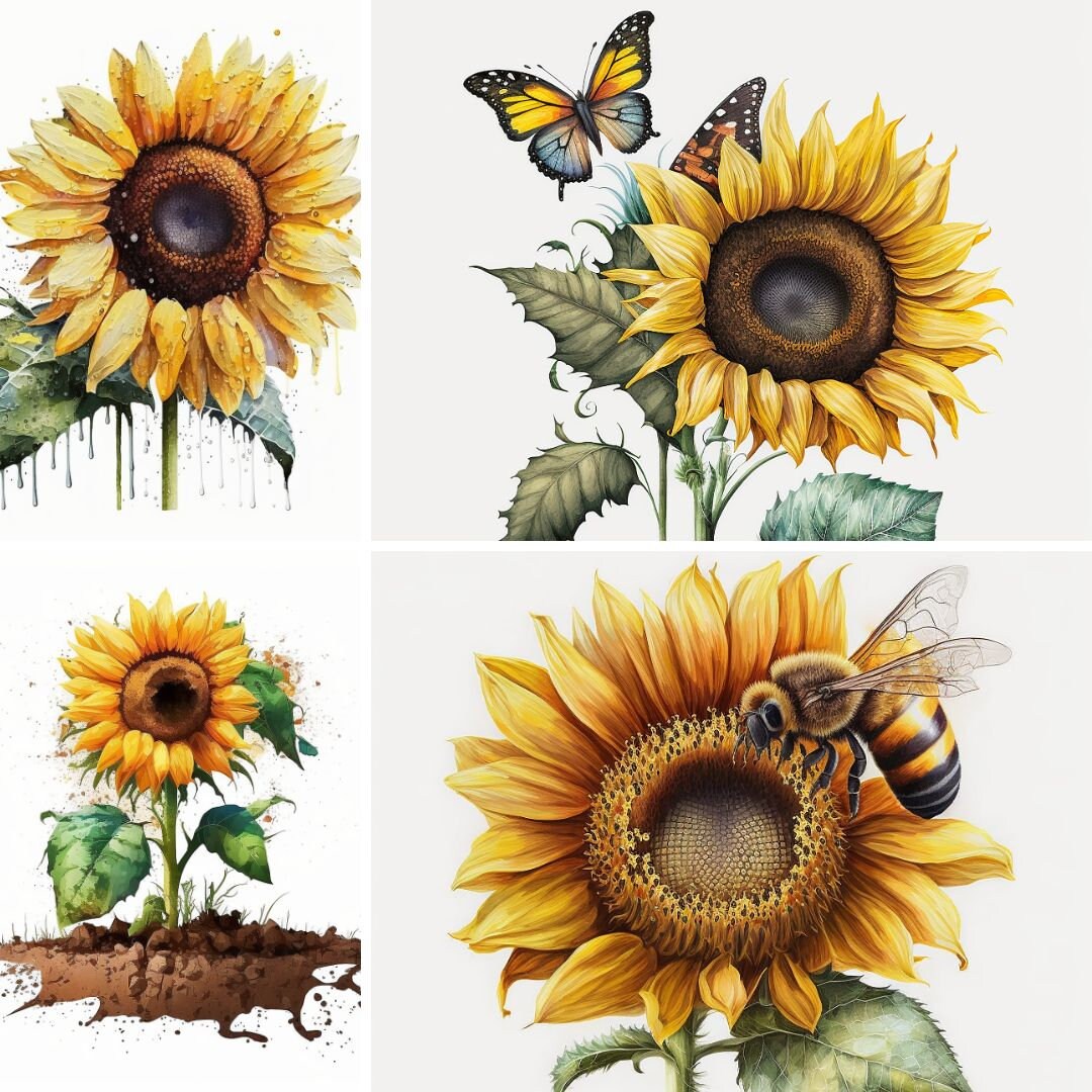Watercolor Sunflower Clipart Fall Flowers Png-format Sunflower Clipart ...