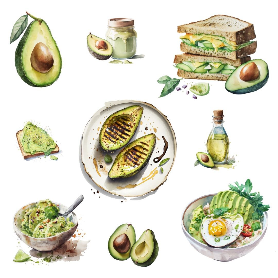 Avocado Watercolor Clipart Bundle Png-format Avocado Clipart Bundle ...