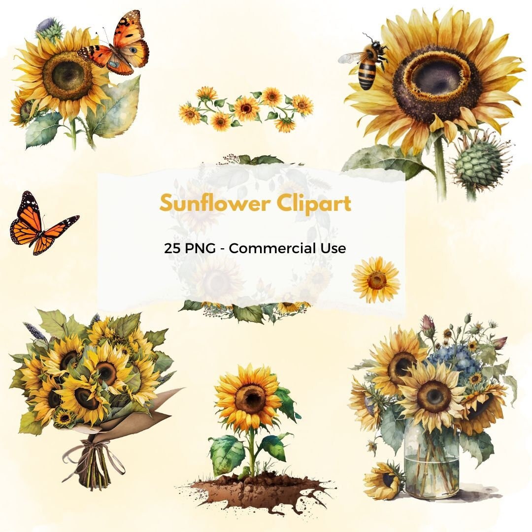 Watercolor Sunflower Clipart Fall Flowers Png-format Sunflower Clipart ...