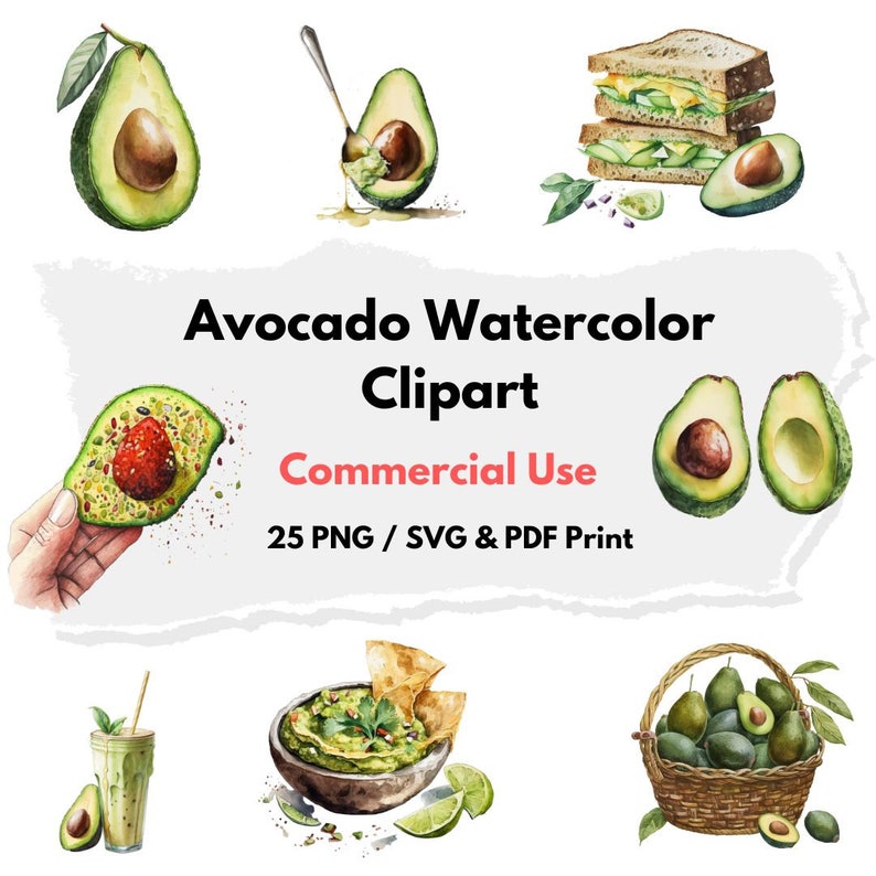 Avocado Watercolor Clipart Bundle Png-format Avocado Clipart Bundle ...