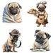 Pug Clipart Bundle Png-format Dog Clipart Bundle Pug Watercolor Clipart ...