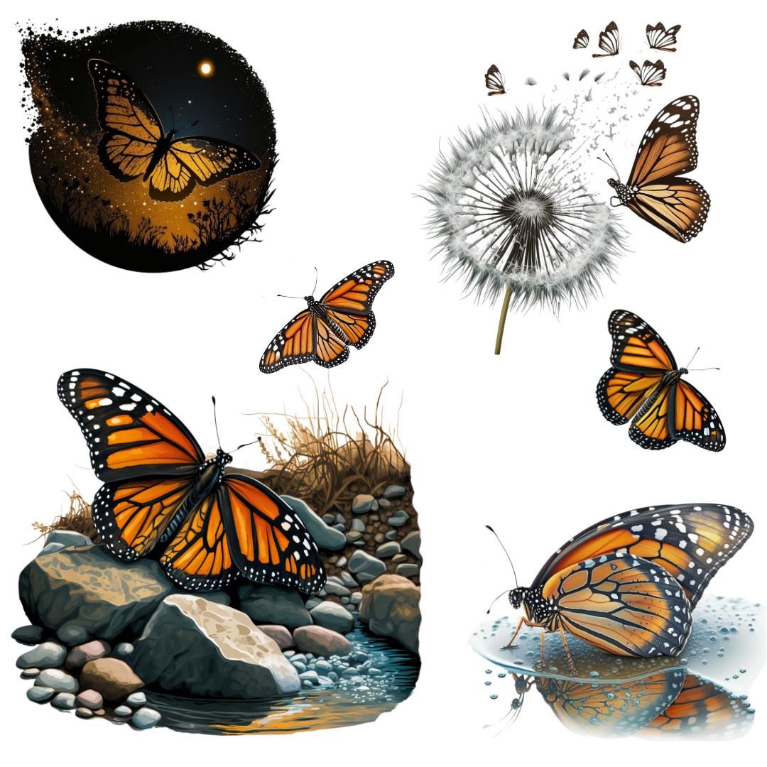 Monarch Butterfly Clipart Bundle Png-format Watercolor Monarch ...