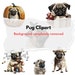 Pug Clipart Bundle Png-format Dog Clipart Bundle Pug Watercolor Clipart ...
