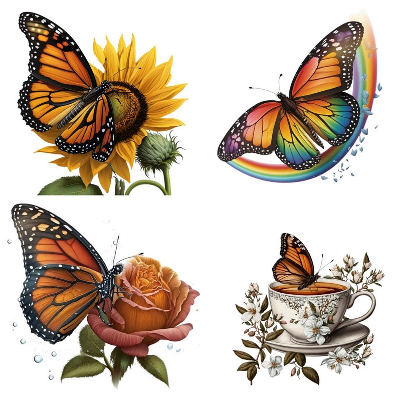Monarch Butterfly Clipart Bundle Png-format Watercolor Monarch ...