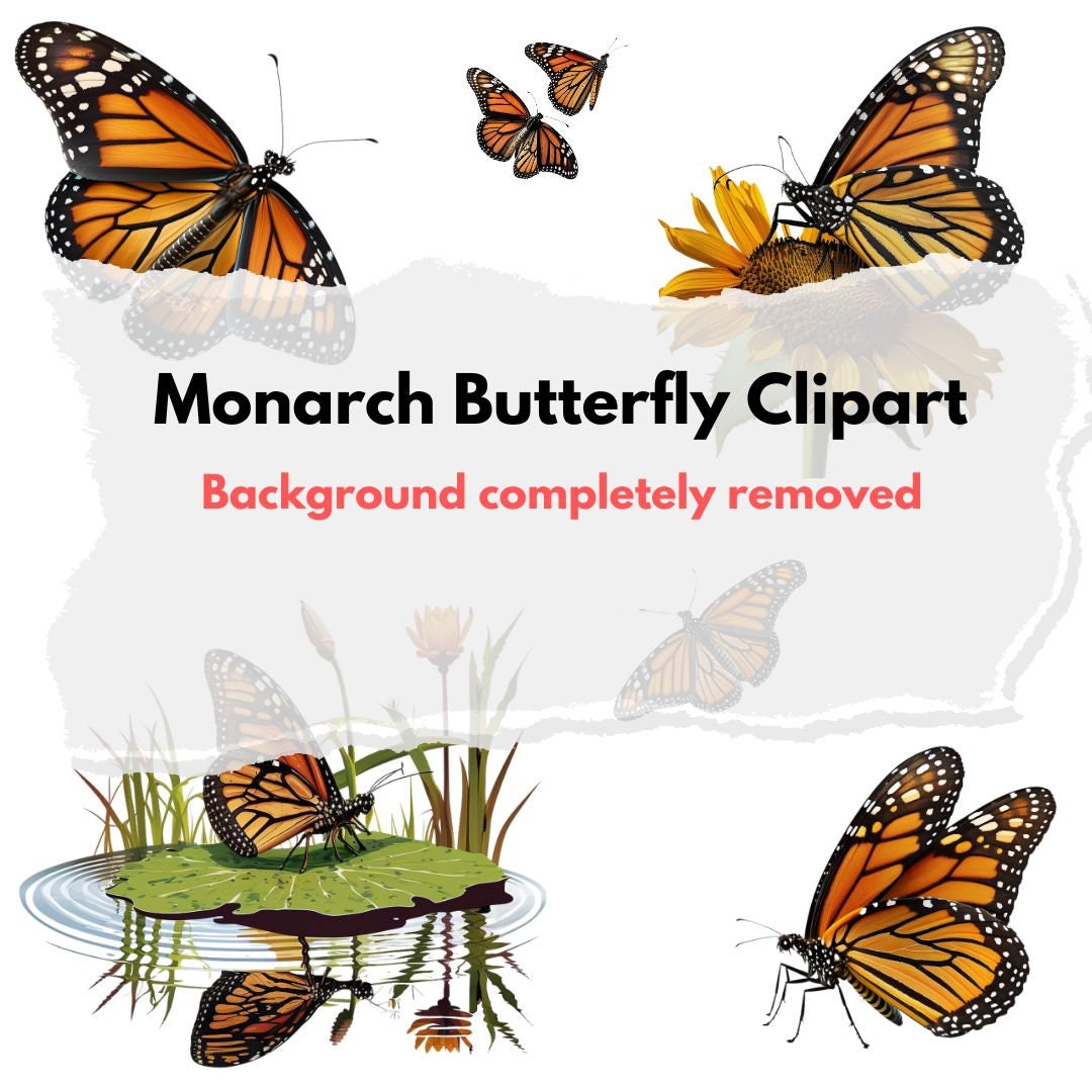 Monarch Butterfly Clipart Bundle Png-format Watercolor Monarch ...