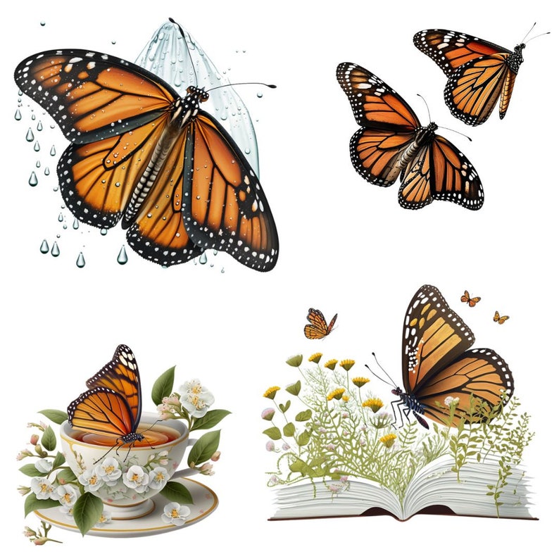 Monarch Butterfly Clipart Bundle Png-format Watercolor Monarch ...