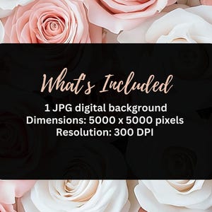 Newborn Digital Backdrop, Baby Girl Cream Flower Bed, Fine Art ...