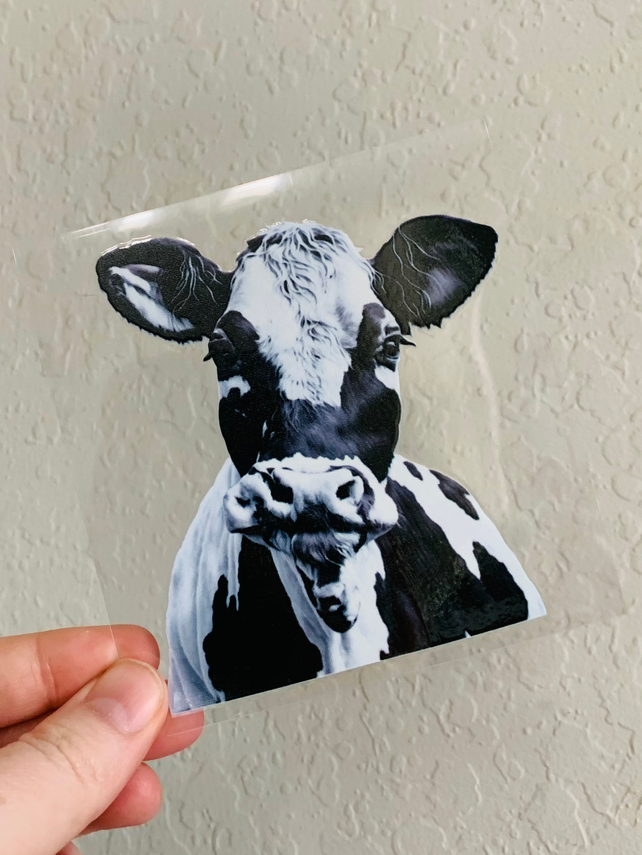 Cow UV DTF 4in Decal, 16oz Glass Can Decal, Glass Cup, Decal, Wrap ...