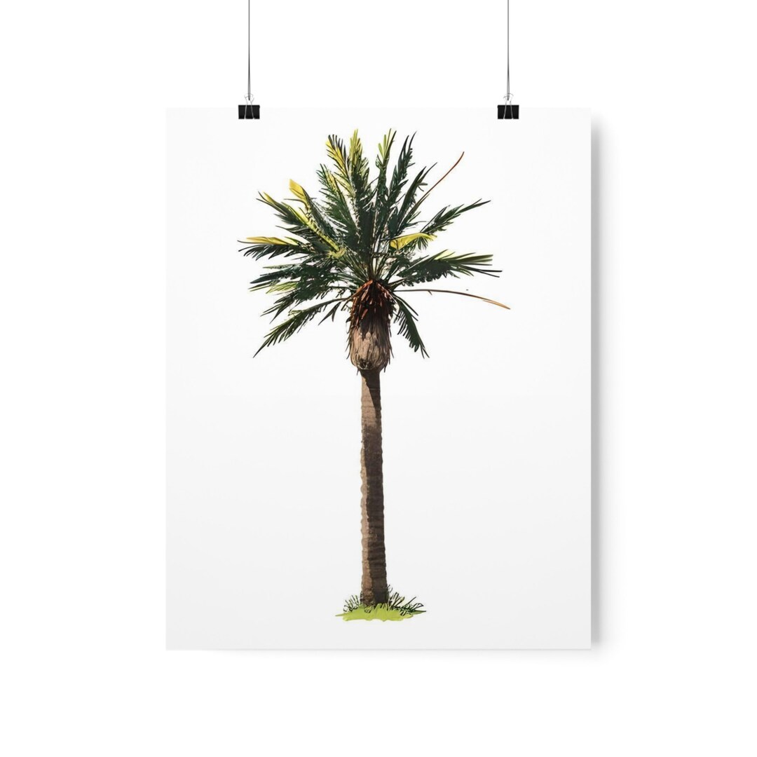 Palm Tree Wall Art Beach Art Coastal Art Florida Art Home Etsy palm-tree-wall-art-beach-art-coastal-art-florida-art-home-etsy