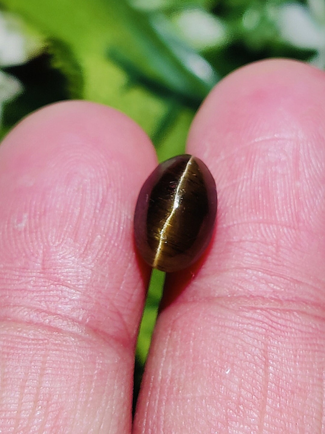 Amazing Black Sharp Ray Cats Eye Oval Cabochan 4 CT. Chrysoberyl Cats ...