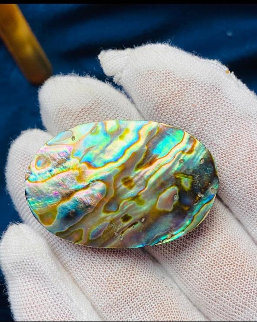 Beautiful Abalone Shell Oval 33x22x6mm Natural Abalone Shell Loose ...