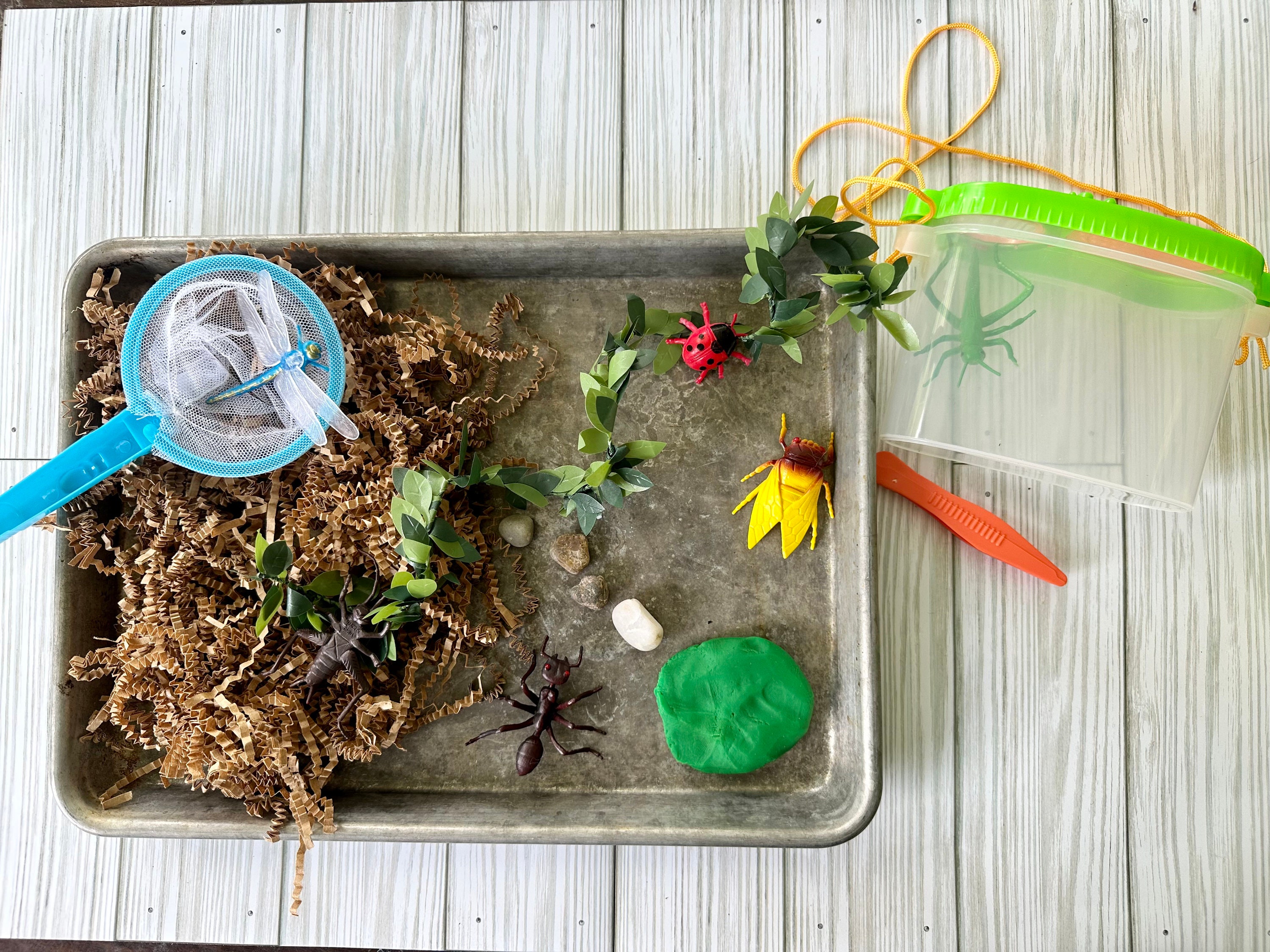 Bug Sensory Bin, Kids Sensory Kit, Quiet Time Activity, Pretend Play ...