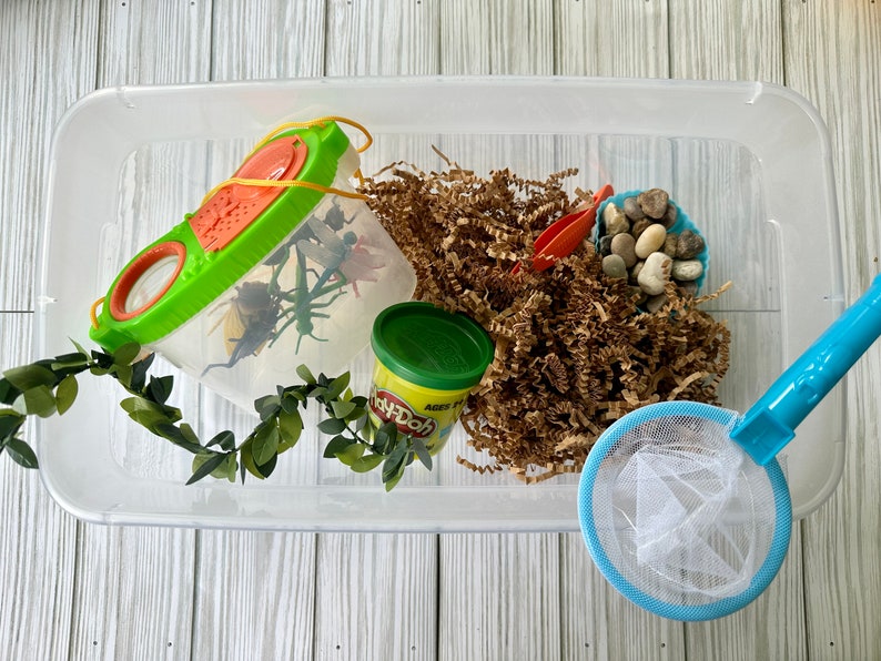 Bug Sensory Bin, Kids Sensory Kit, Quiet Time Activity, Pretend Play ...
