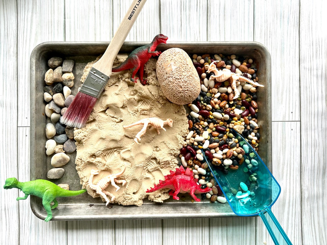 Dinosaur Sensory Bin, Kids Sensory Kit, Quiet Time Activity, Pretend ...